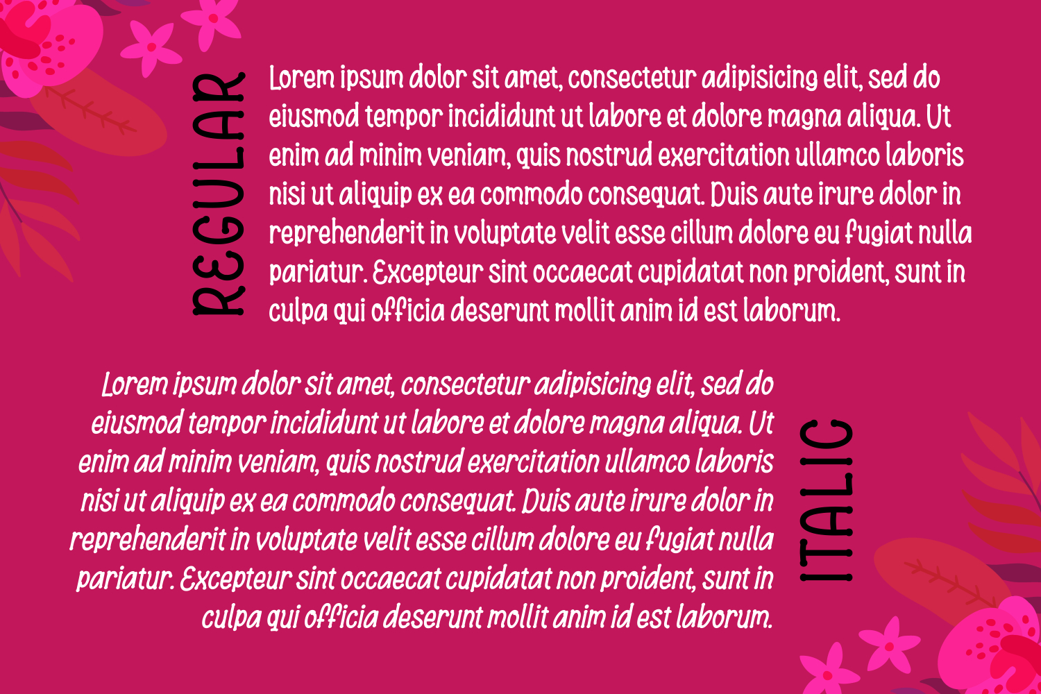 Download Bronice font | fontsme.com